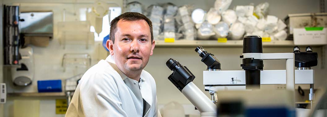 Hutch researchers discover neutralizing antibodies to parainfluenza ...