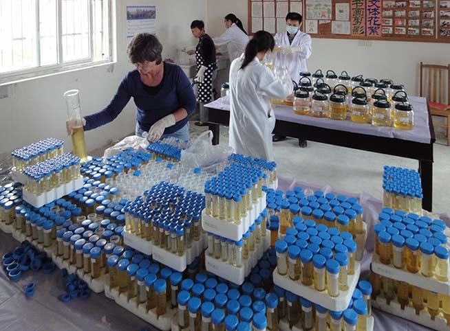 Cancer-busting broccoli sprout pills? It’s a thing. | Fred Hutchinson ...