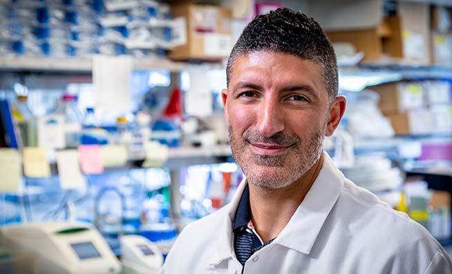 Understanding the mechanics of breast cancer metastasis | Fred ...