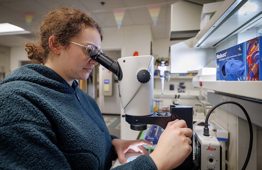 Working the holidays at Fred Hutch - Fred Hutch