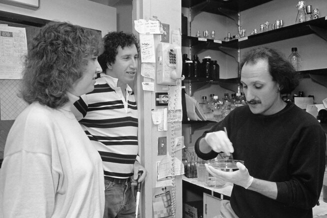 Chromatin researcher and professor of radiation oncology Dr. Mark ...