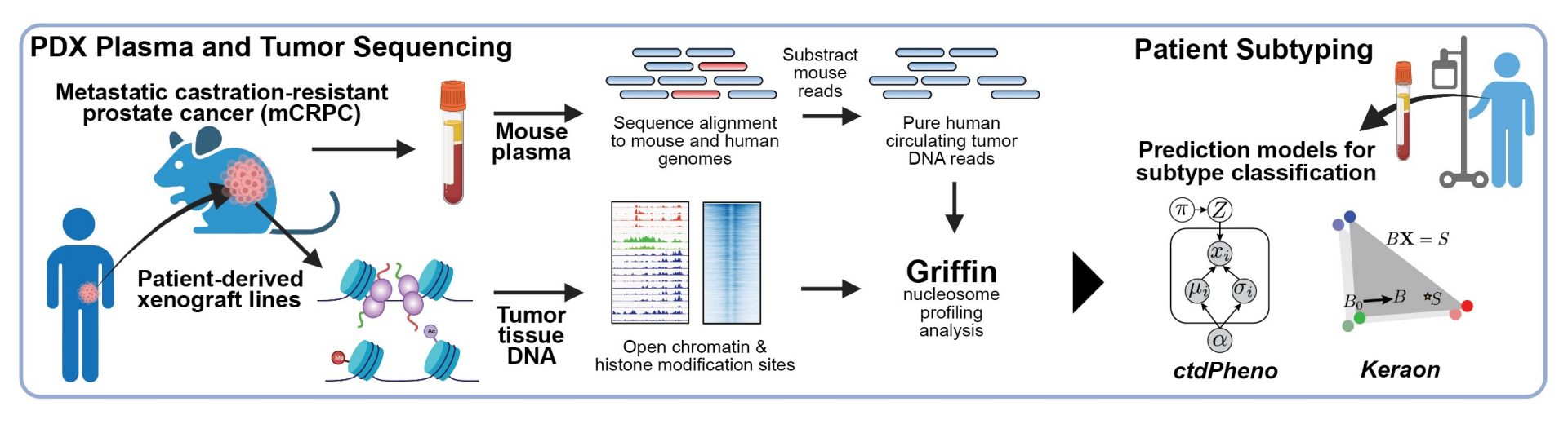 New computational tools widen horizons for liquid biopsies | Fred Hutchinson Cancer Center