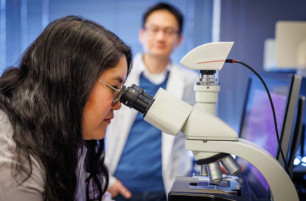 Dead to me? Insights into a tumor’s necrotic core | Fred Hutchinson Cancer Center