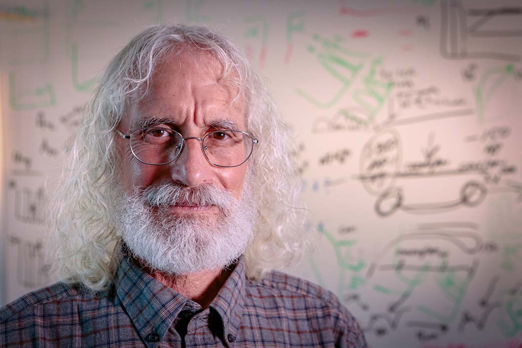 Dr. Philip Greenberg elected to National Academy of Sciences | Fred ...