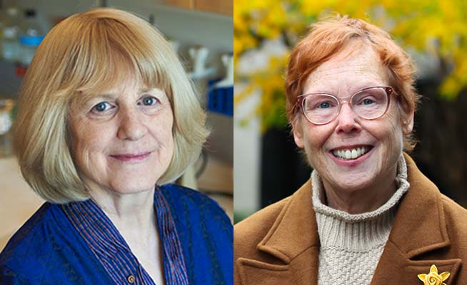 Research into targeted treatments, better prediction models in breast ...