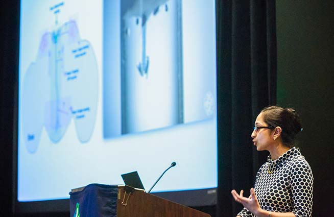 Another look at leptin - Fred Hutch