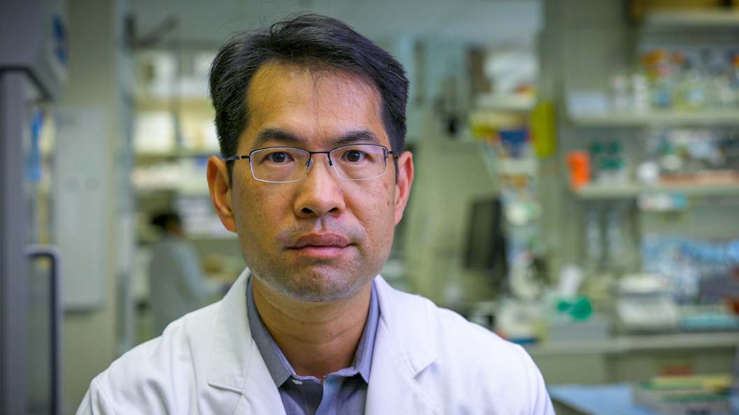 Finding a new way to break the supply chain fueling advanced prostate cancer | Fred Hutchinson ...