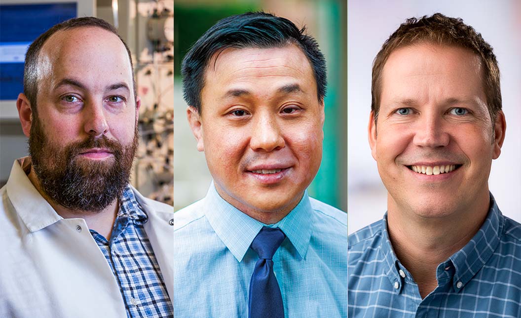 Laying the groundwork for a new cancer-preventive vaccine | Fred Hutchinson Cancer Center