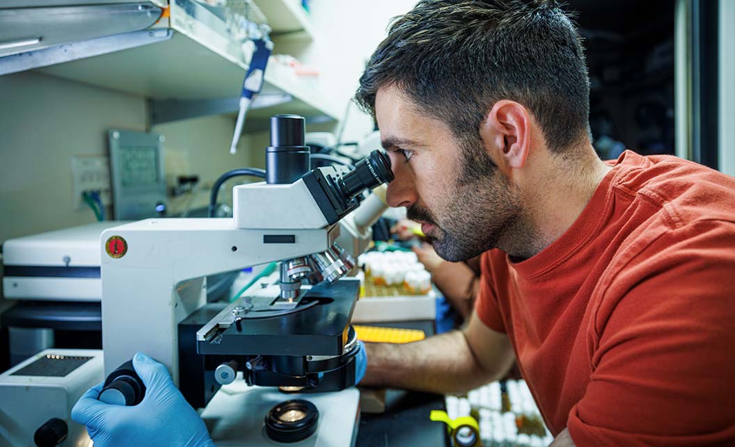 Evolutionary cell biologist Dr. Grant King named a Hanna Gray Fellow ...