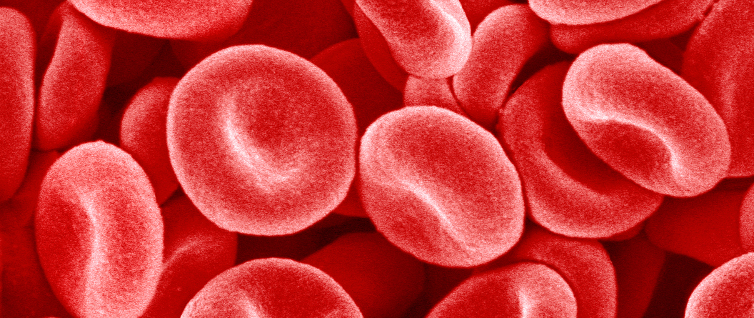 Dr. Filippo Milano receives inaugural Endowed Chair in Cord Blood ...