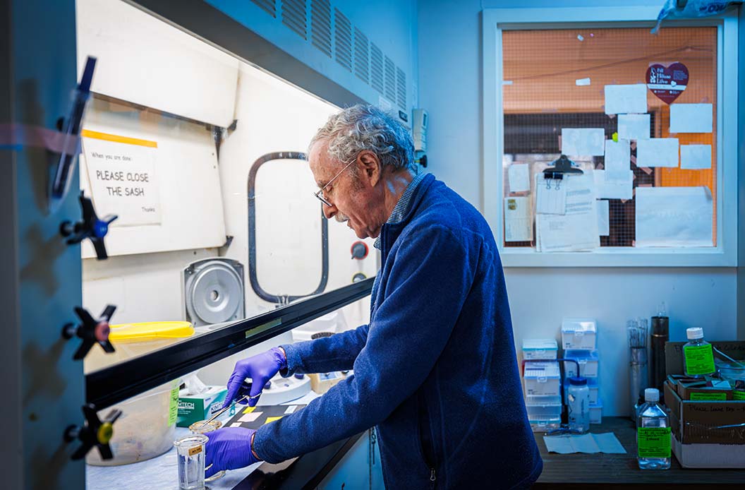 2025 Year in Pictures - Fred Hutch