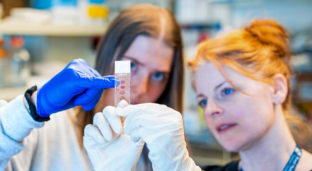 2025 Year in Pictures - Fred Hutch