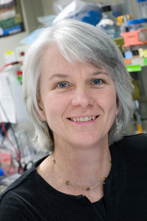 Study finds HIV ‘superinfection’ boosts immune response | Fred ...