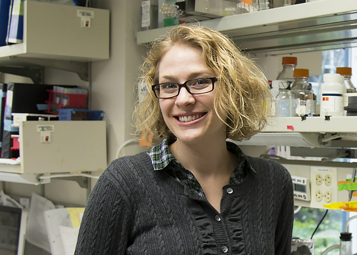 Brewing yeasts reveal secrets of chromosomal warfare and dysfunction ...