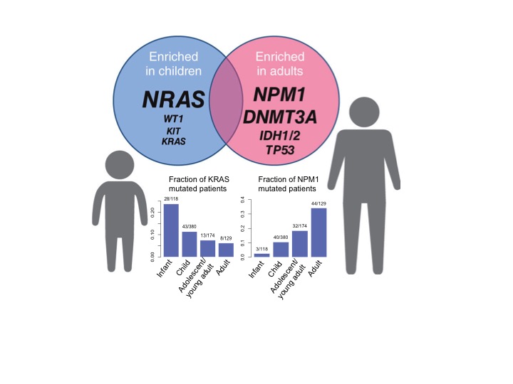 Pediatric acute myeloid leukemia targeted therapies come of age | Fred ...