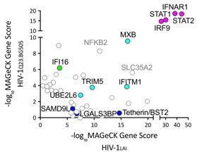 A new technology to screen for HIV-specific restriction factors | Fred ...