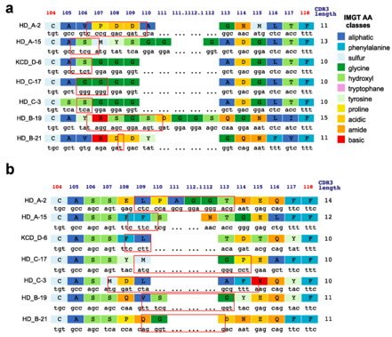 Targeting renal cell carcinoma with transgenic T cell therapy | Fred ...