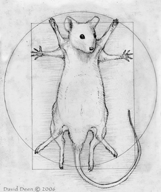 Connect-seq: A new neuron detective around the block | Fred Hutchinson ...