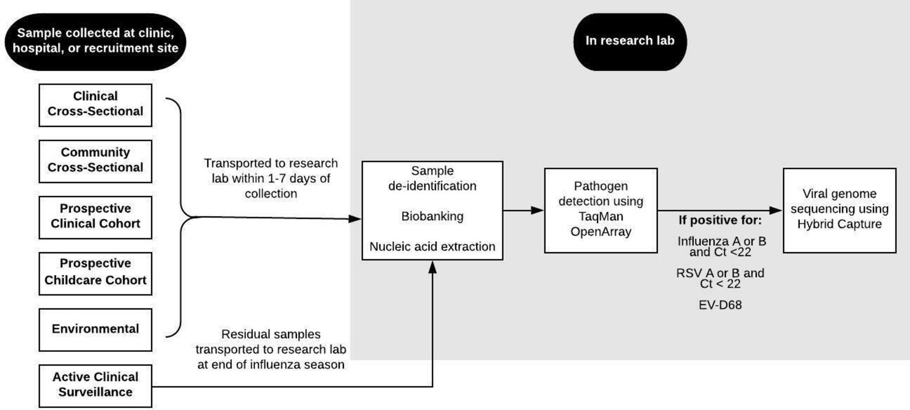 Seattle Flu Study pivots to SARS-CoV-2 | Fred Hutchinson Cancer Center