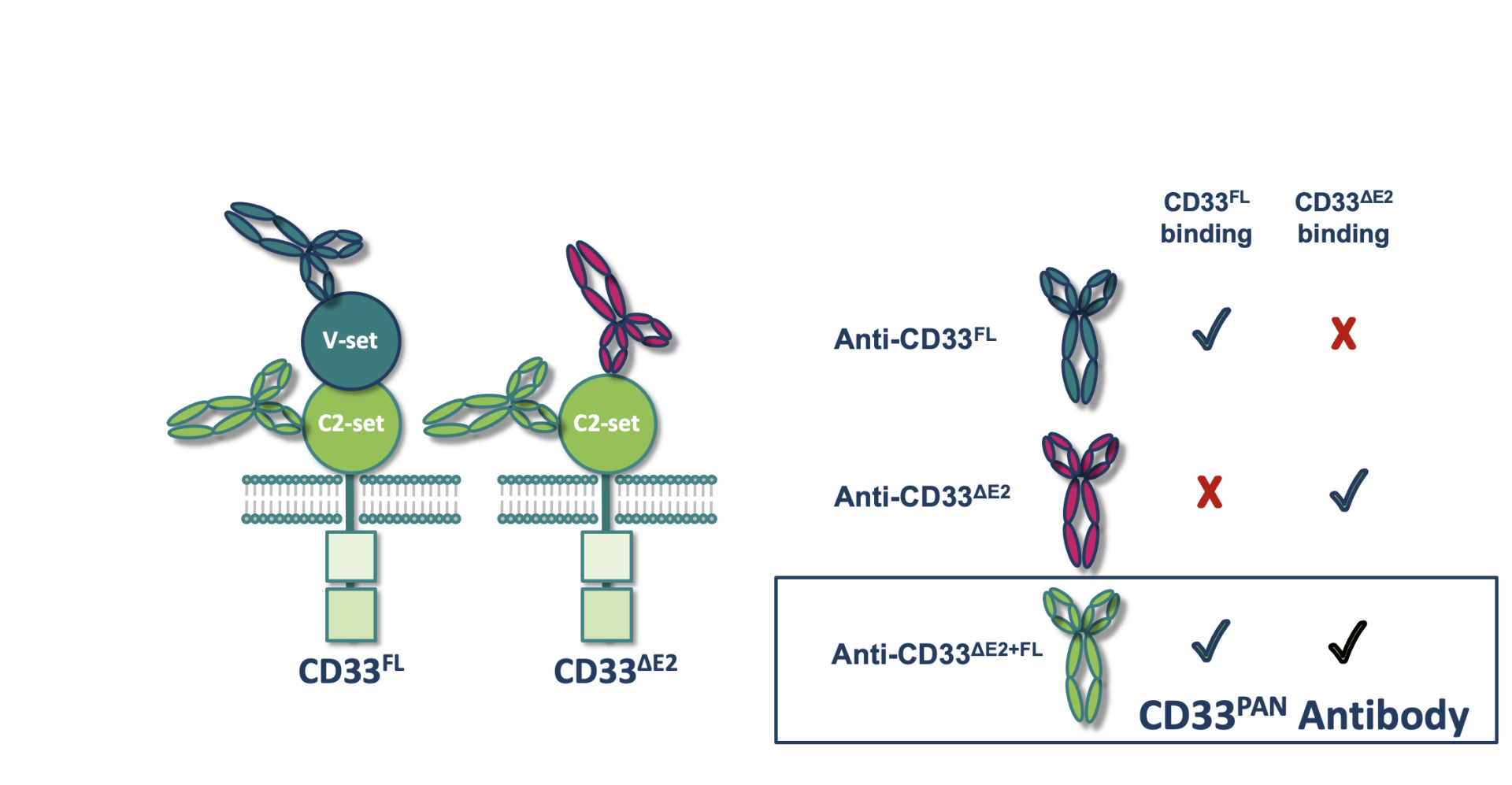 Keep your enemies closer: targeting membrane-proximal domains for ...