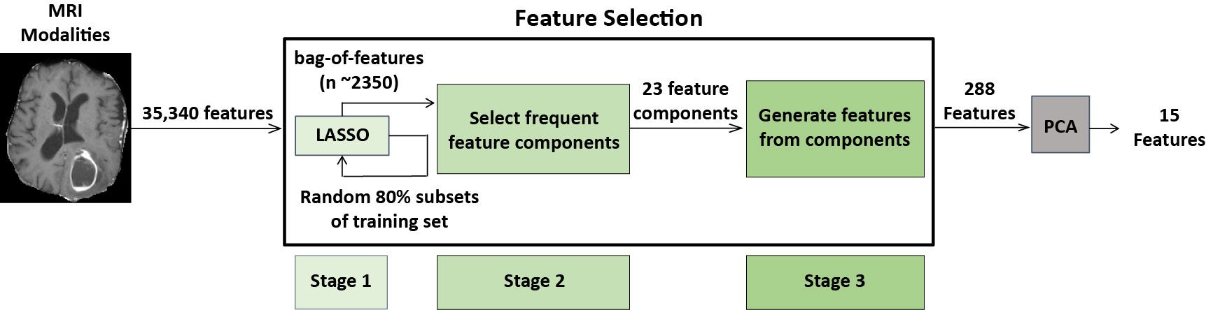 Machine learning model identifies glioblastoma patients with poor ...