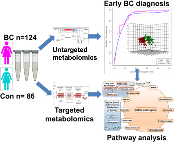 Metabolomics as a diagnostic tool for early-stage breast cancer | Fred Hutchinson Cancer Center