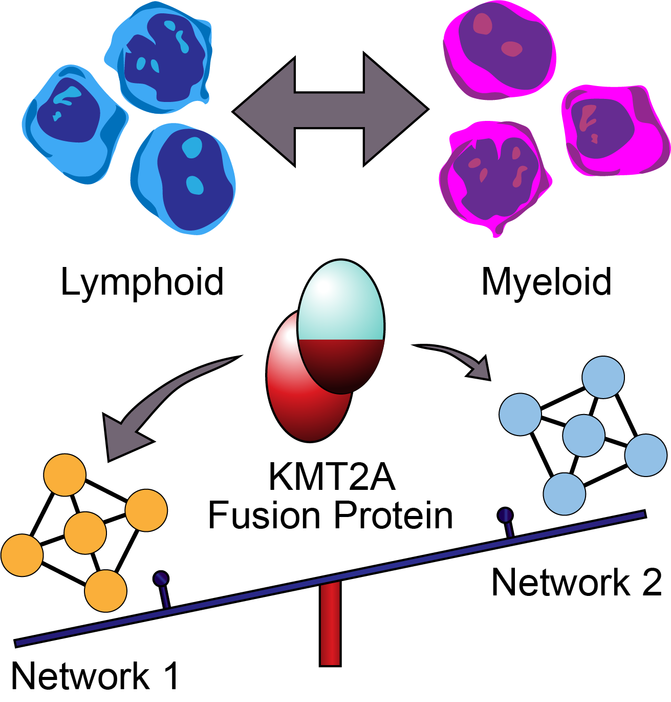 Epigenetic heterogeneity helps cancer cells change their minds | Fred ...