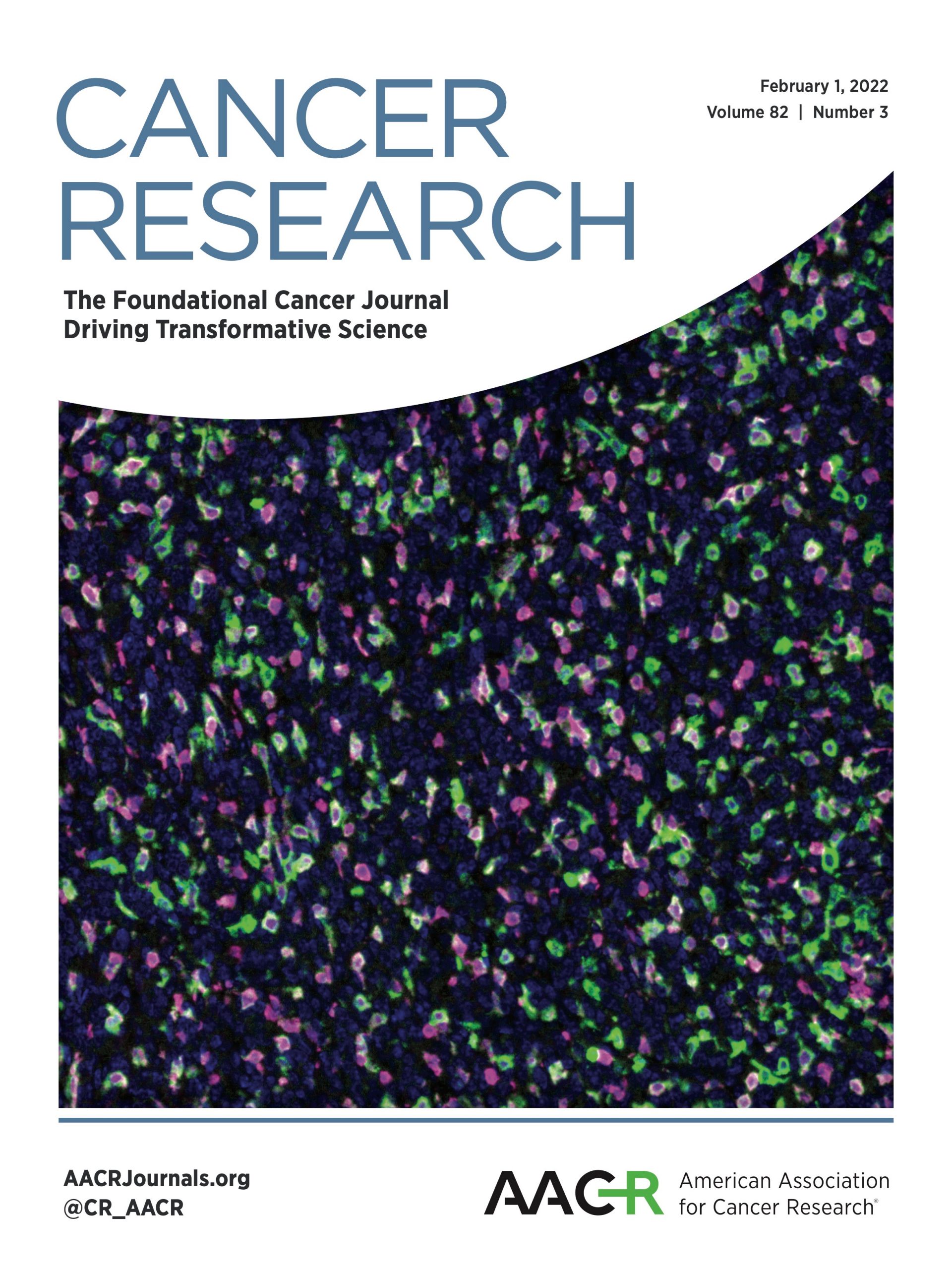 Development of an in vitro model system to study tricky-to-target tumor ...