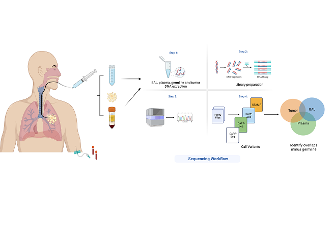 A liquid asset: Lung cancer tumor profiling from bronchoalveolar lavage ...