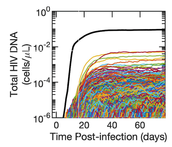 Proliferation, proliferation, proliferation! Driver of HIV reservoir ...