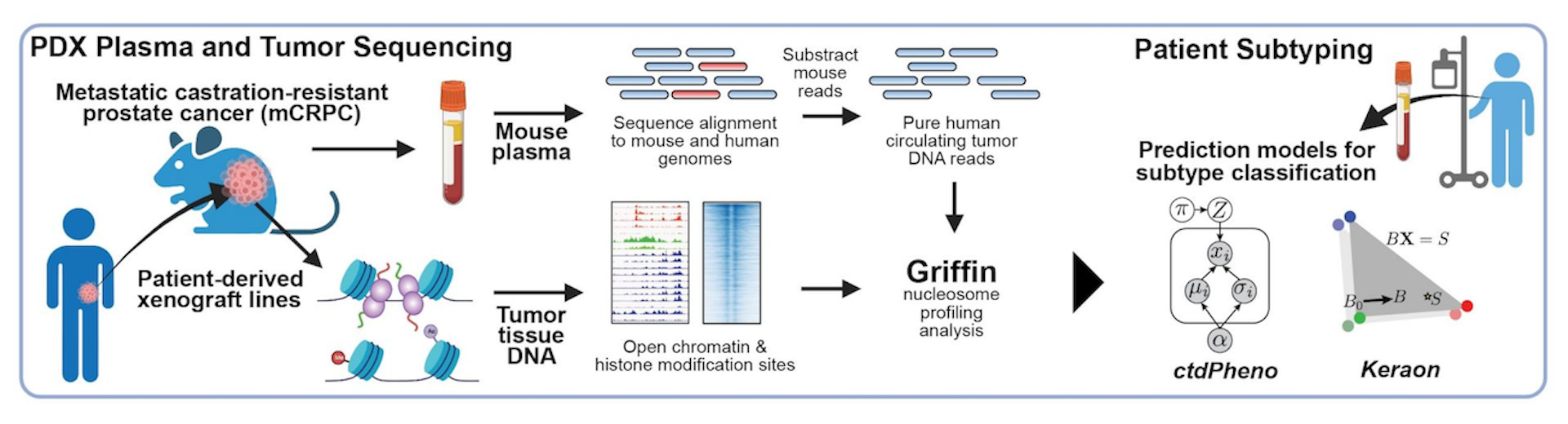 Classifying prostate cancer subtypes from liquid biopsies | Fred ...