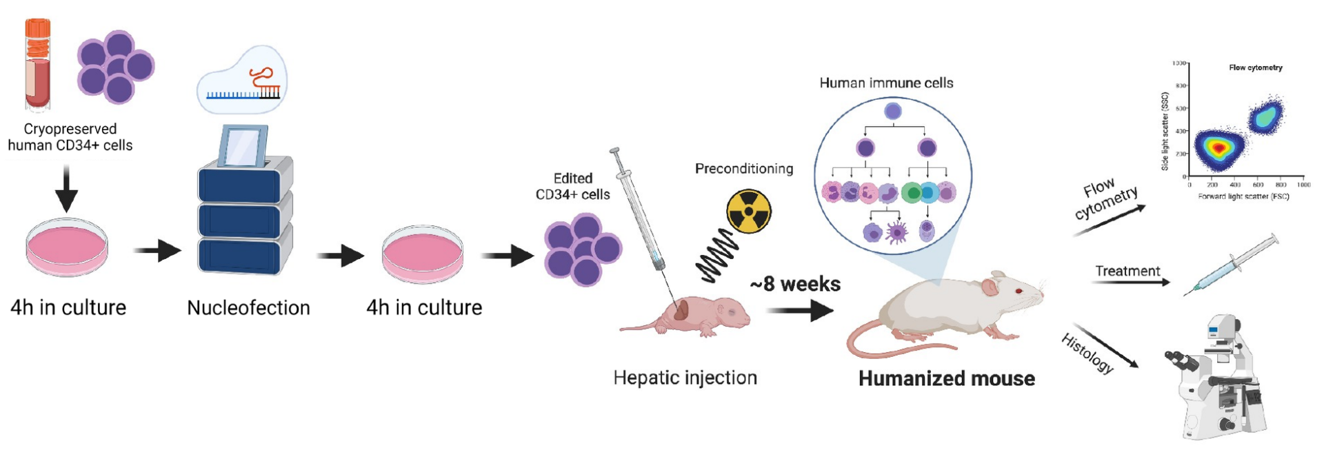 From the bench to Hutch services: Refining gene-editing methods for ...