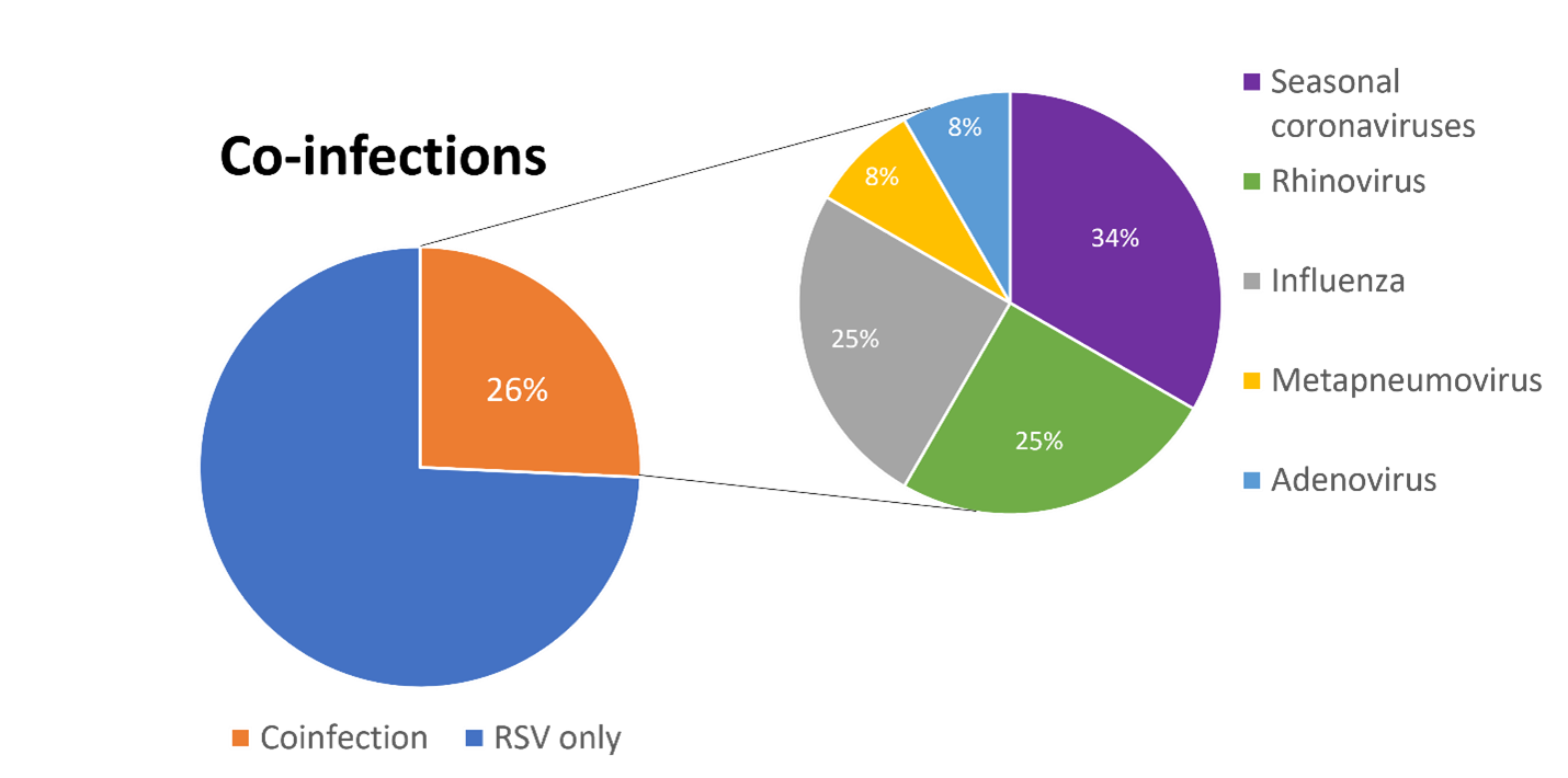 Respiratory syncytial virus infection among people experiencing ...