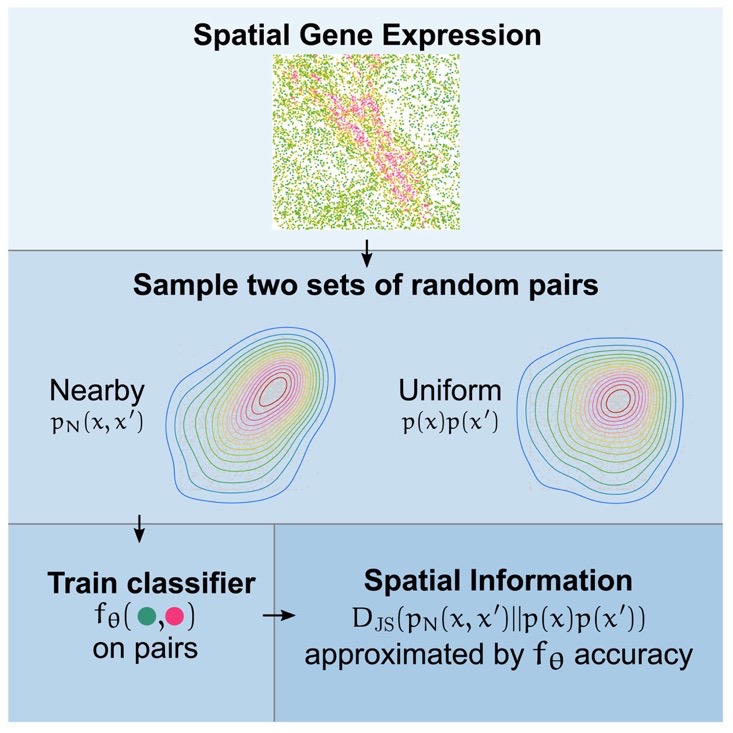 Maxspin: a sensitive, quantitative method for identifying spatially varying genes | Fred ...