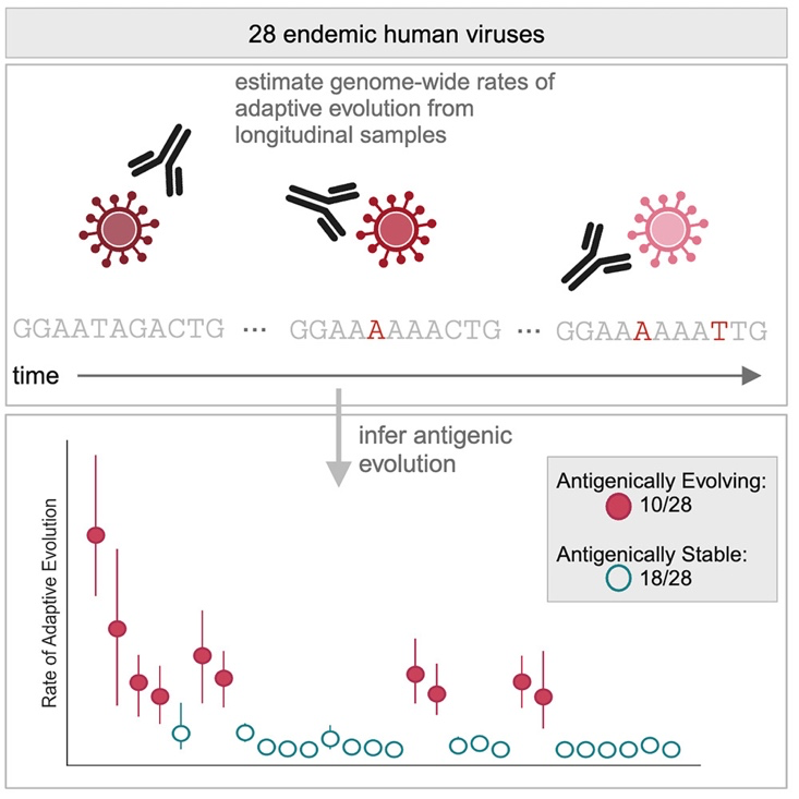 Predicting endemic viruses engaged in an evolutionary battle with the ...
