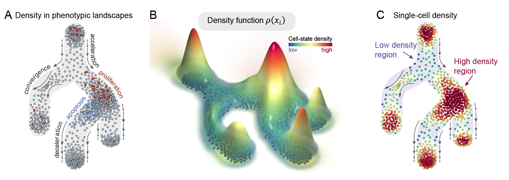 Mellon, a single-cell analysis tool, identifies transitory cells and ...