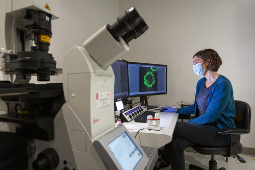 For Dr. Lena Schroeder, a (microscopic) picture is worth more than a ...