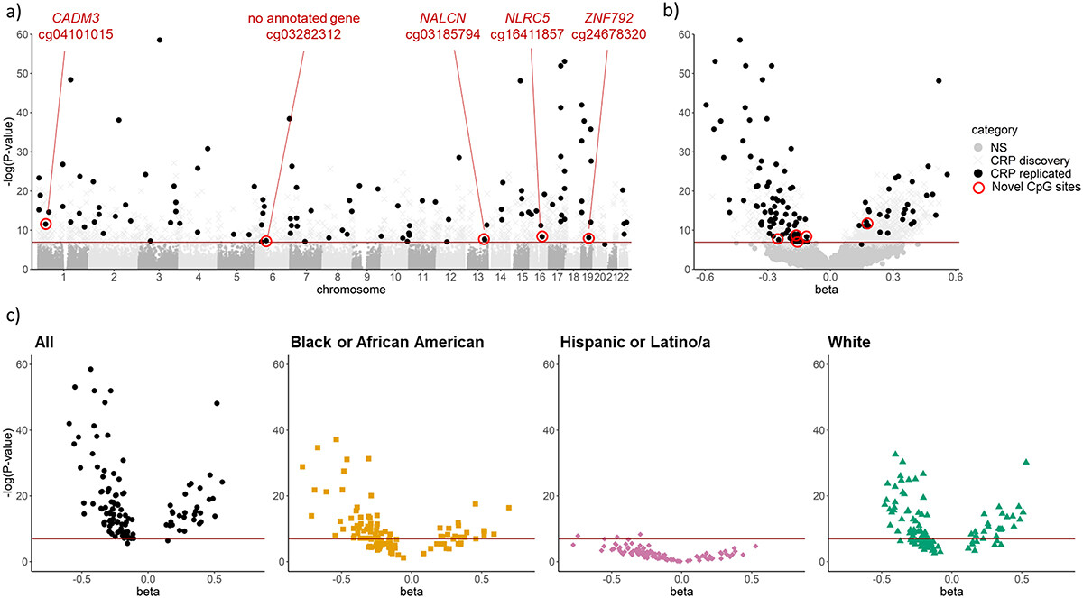 Understanding inflammation and DNA methylation through the lens of C ...