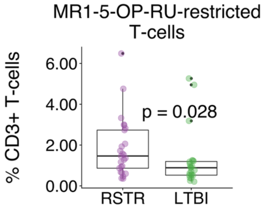 Getting the DURT on T cell responses to Mycobacterium tuberculosis ...