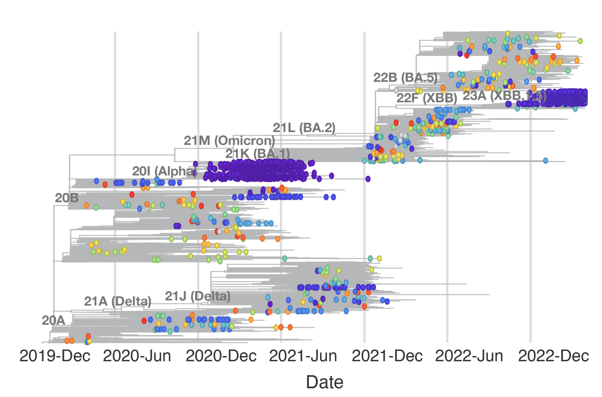 The curious case of ORF8: SARS-CoV-2 evolution is about more than just ...