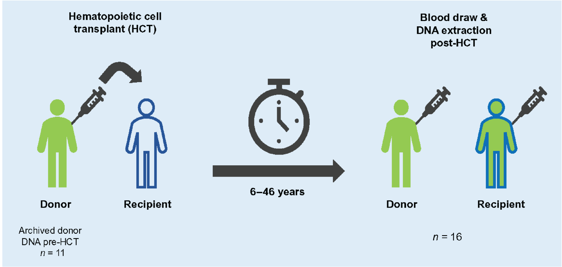Mutations remain one-in-a-million after HCT - Fred Hutch
