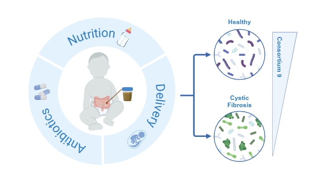 Diaper deposits are decoding our earliest microbiomes | Fred Hutchinson ...