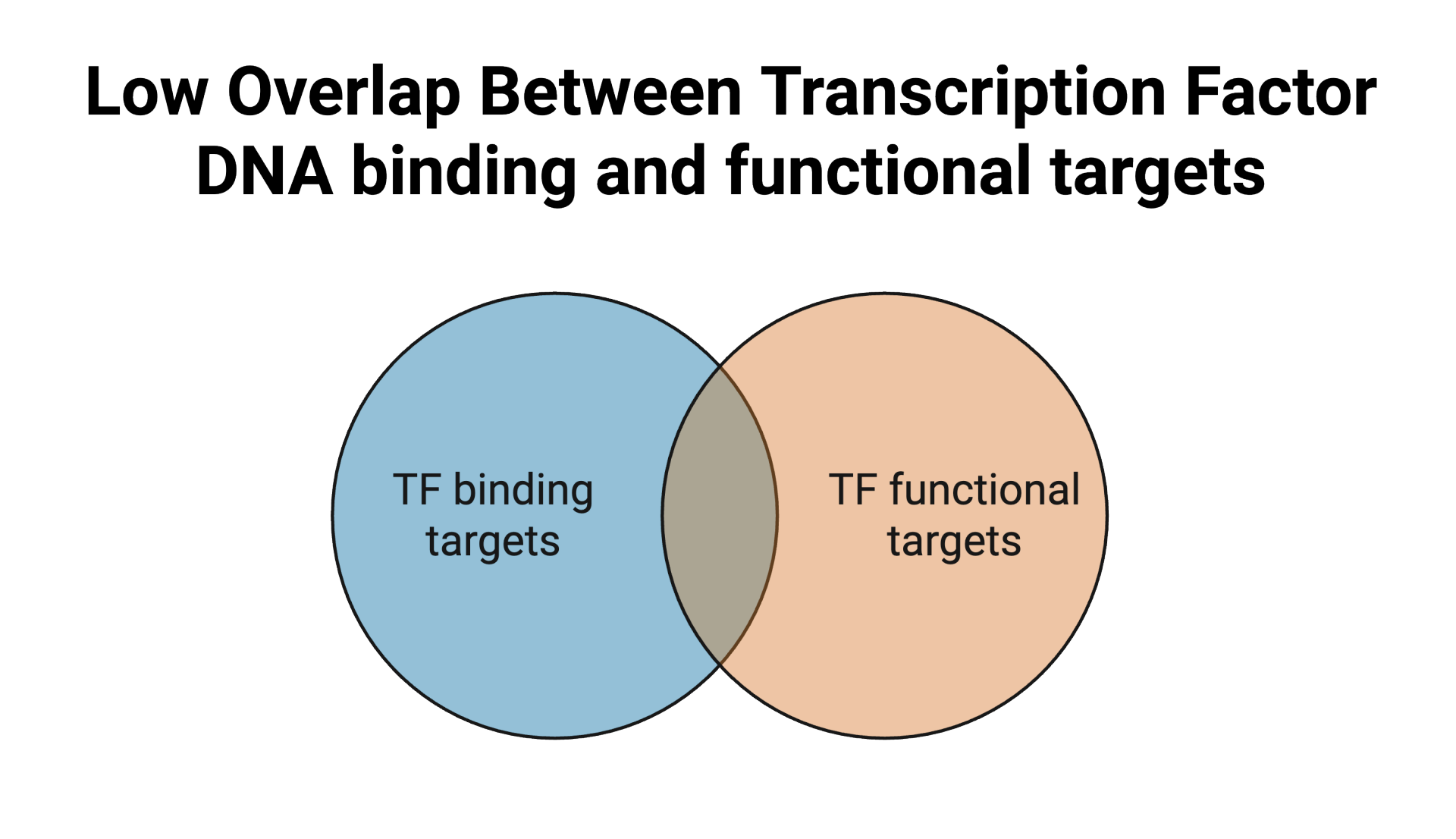 Rethinking gene regulation: Beyond the blueprint | Fred Hutchinson ...