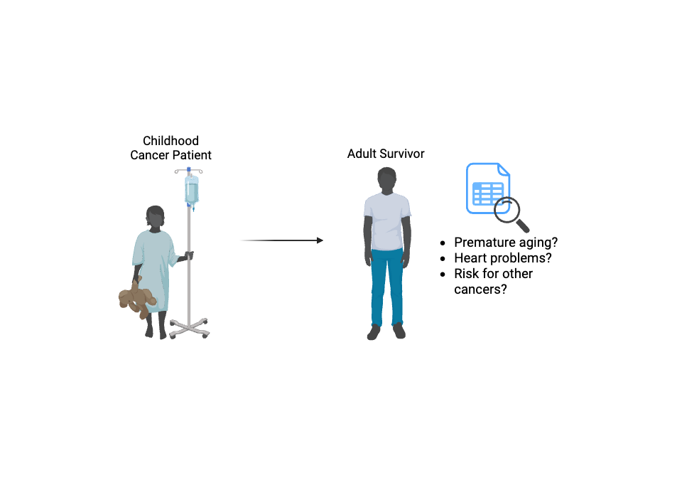 Pediatric cancer survivors have a higher risk of chronic health ...