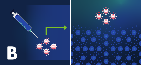 COVID-19 Vaccine Boosters | Fred Hutchinson Cancer Center