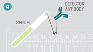 How Scientists Test for COVID-19 | Fred Hutchinson Cancer Center
