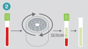 How Scientists Test for COVID-19 | Fred Hutchinson Cancer Center