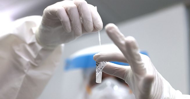 How Scientists Test for COVID-19 - Fred Hutch