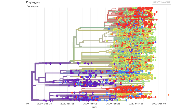 Understanding Nextstrain - Fred Hutch