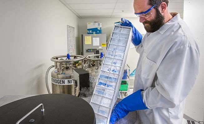 Divisions | Fred Hutchinson Cancer Center